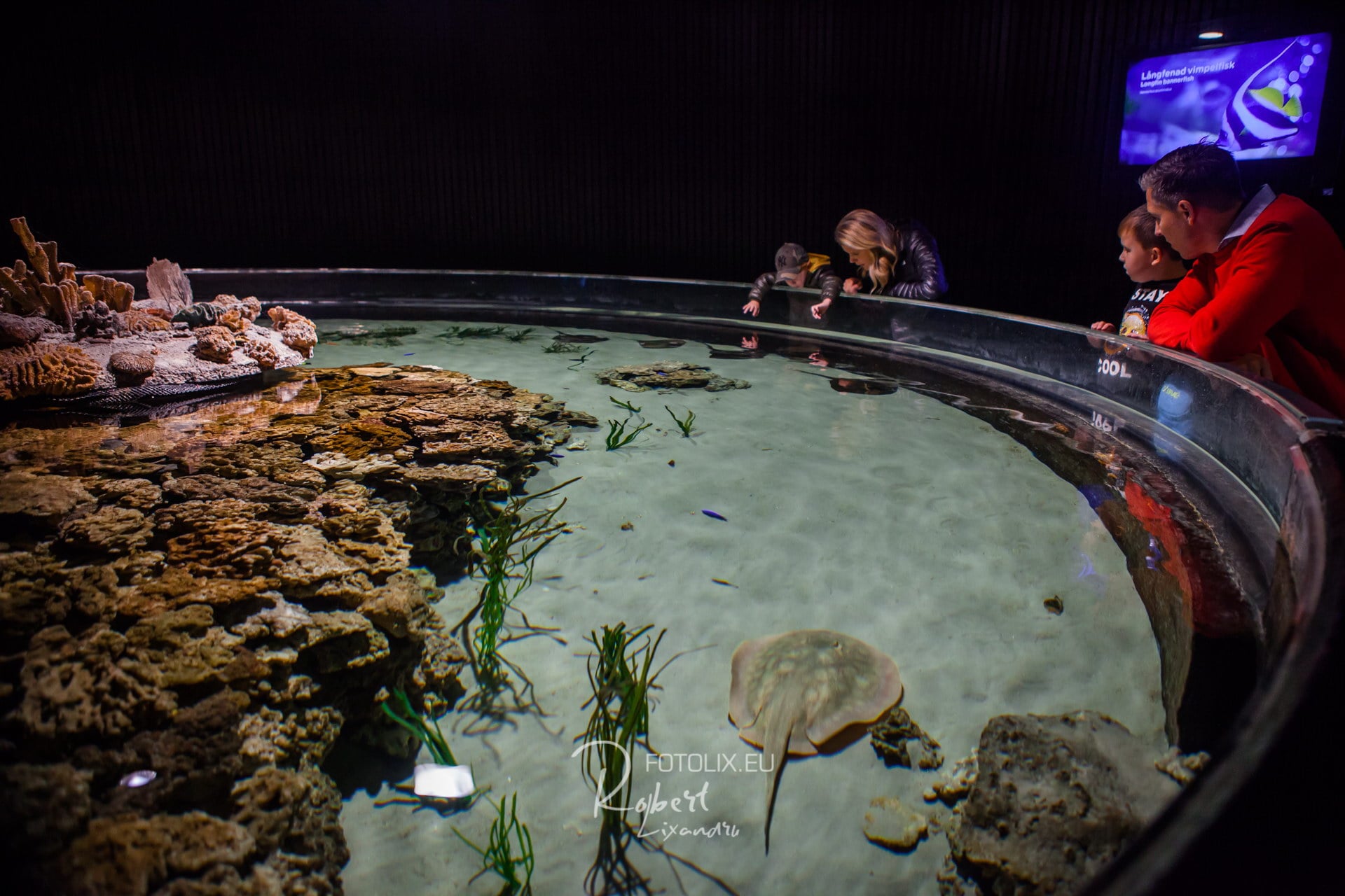 Universeum, Göteborg - FOTO robert LIXandru